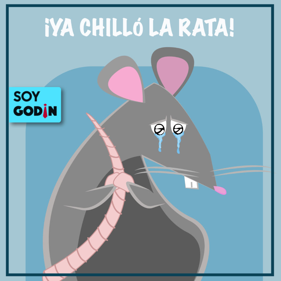 ¡Ya chilló la rata! (Quincena)